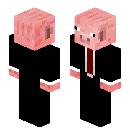 Skin Library - WiMi我的世界皮肤站
